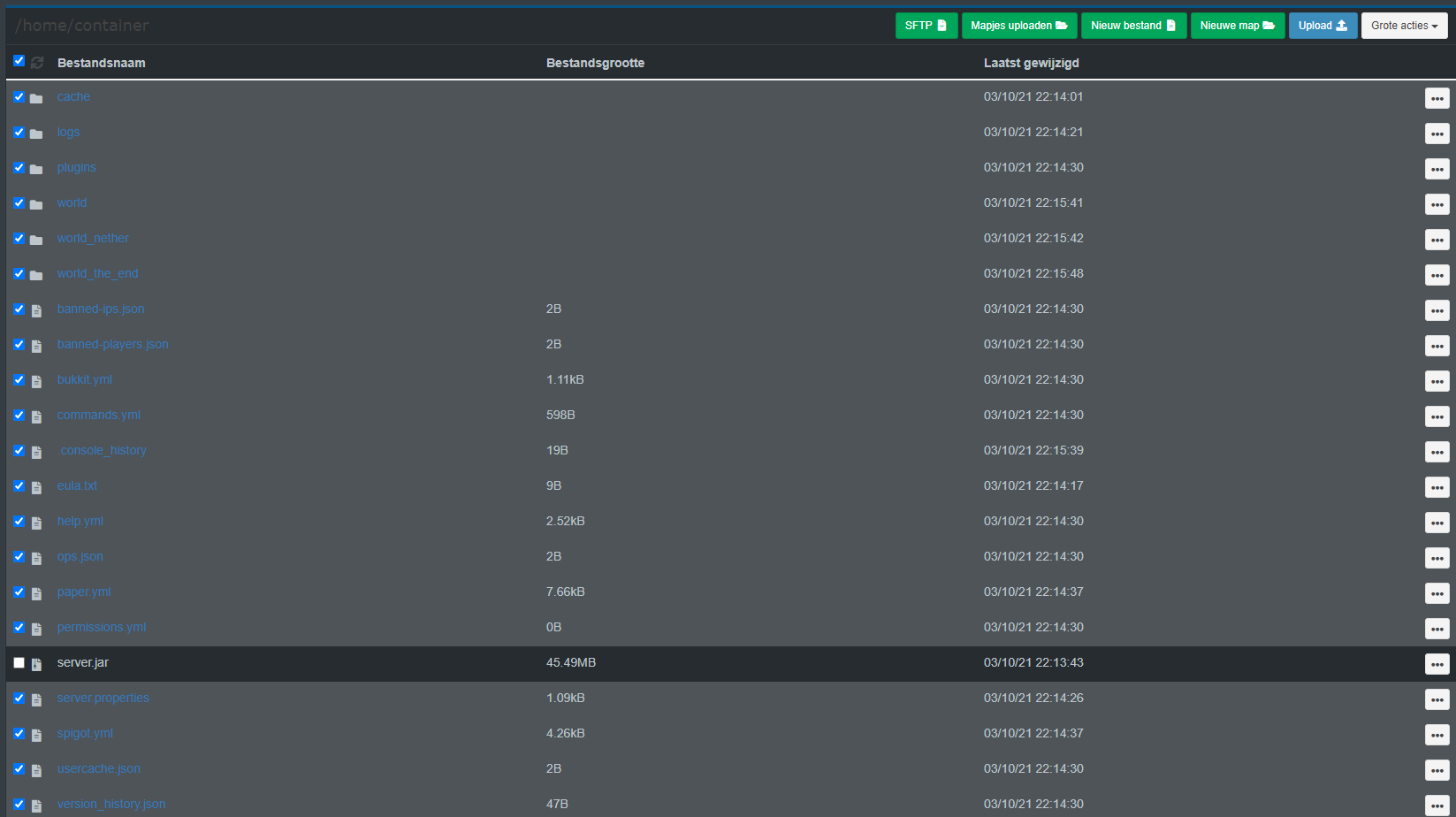 Hoe reset je je minecraft server?